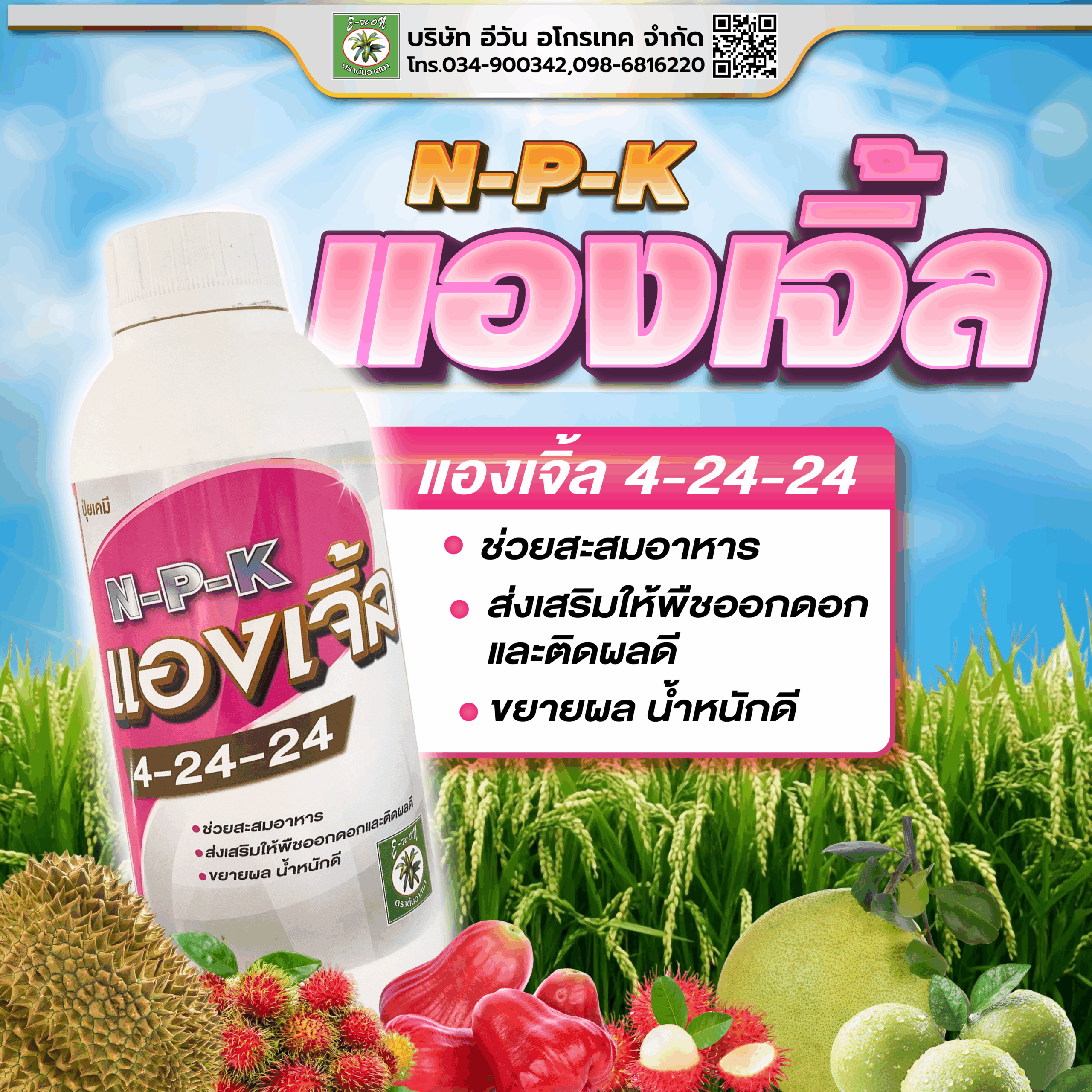 แองเจิ้ล 4-24-24 – ตรา ต้นวาสนา